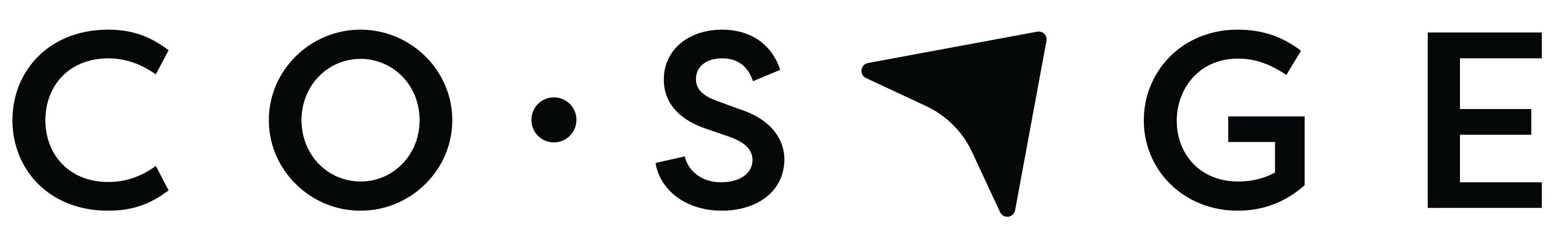 CoSage - Private Advisory For CEOs & Boards Private Advisory For CEOs ...